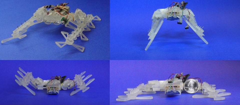 STAR un robot multiposturas – Robotic-Lab.COM